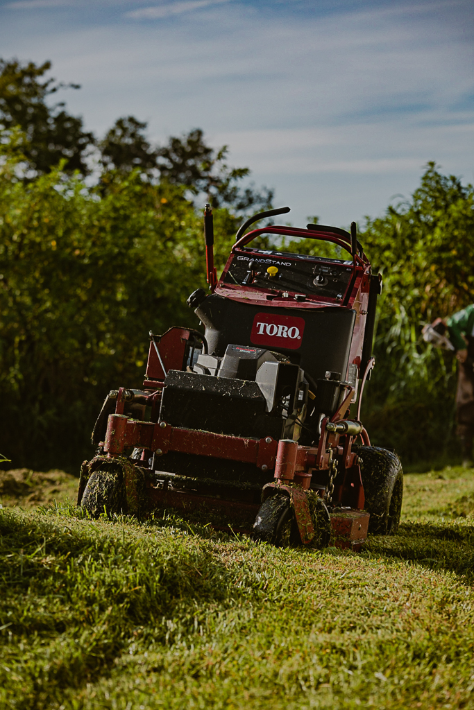 Landscaper Riverview Fl | hedge trimming